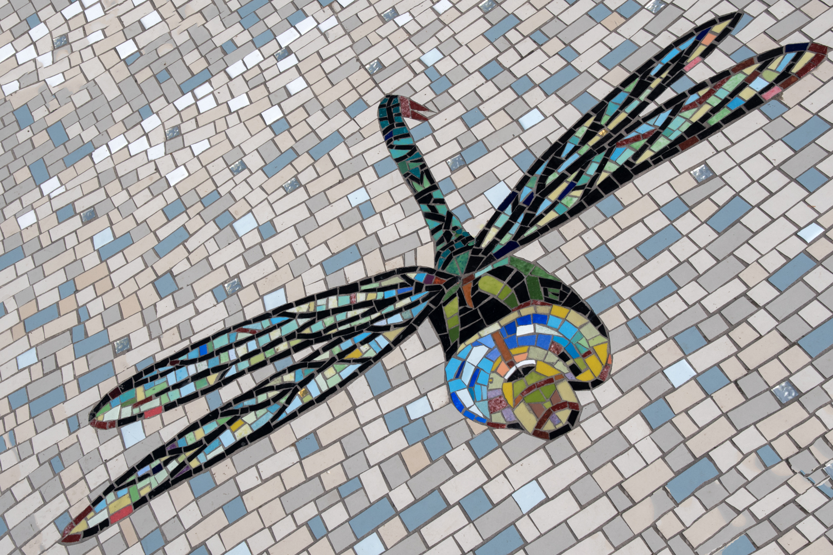 Fotoclub Crea Indrukwekkende mozaïektrap